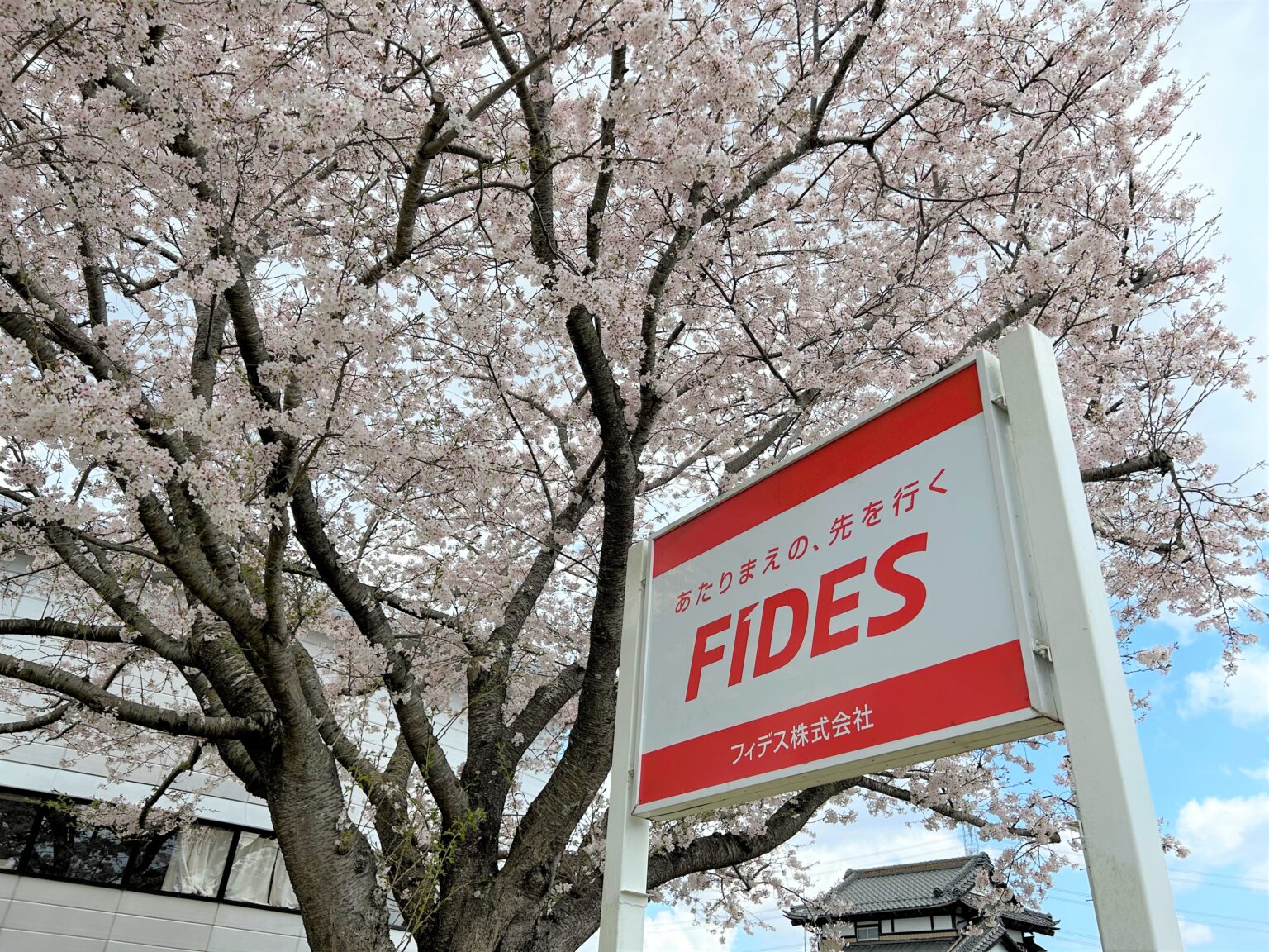 2023年度新入社員歓迎会を開催しました | 電気工事・空調工事-フィデス株式会社(千葉県) │FIDES